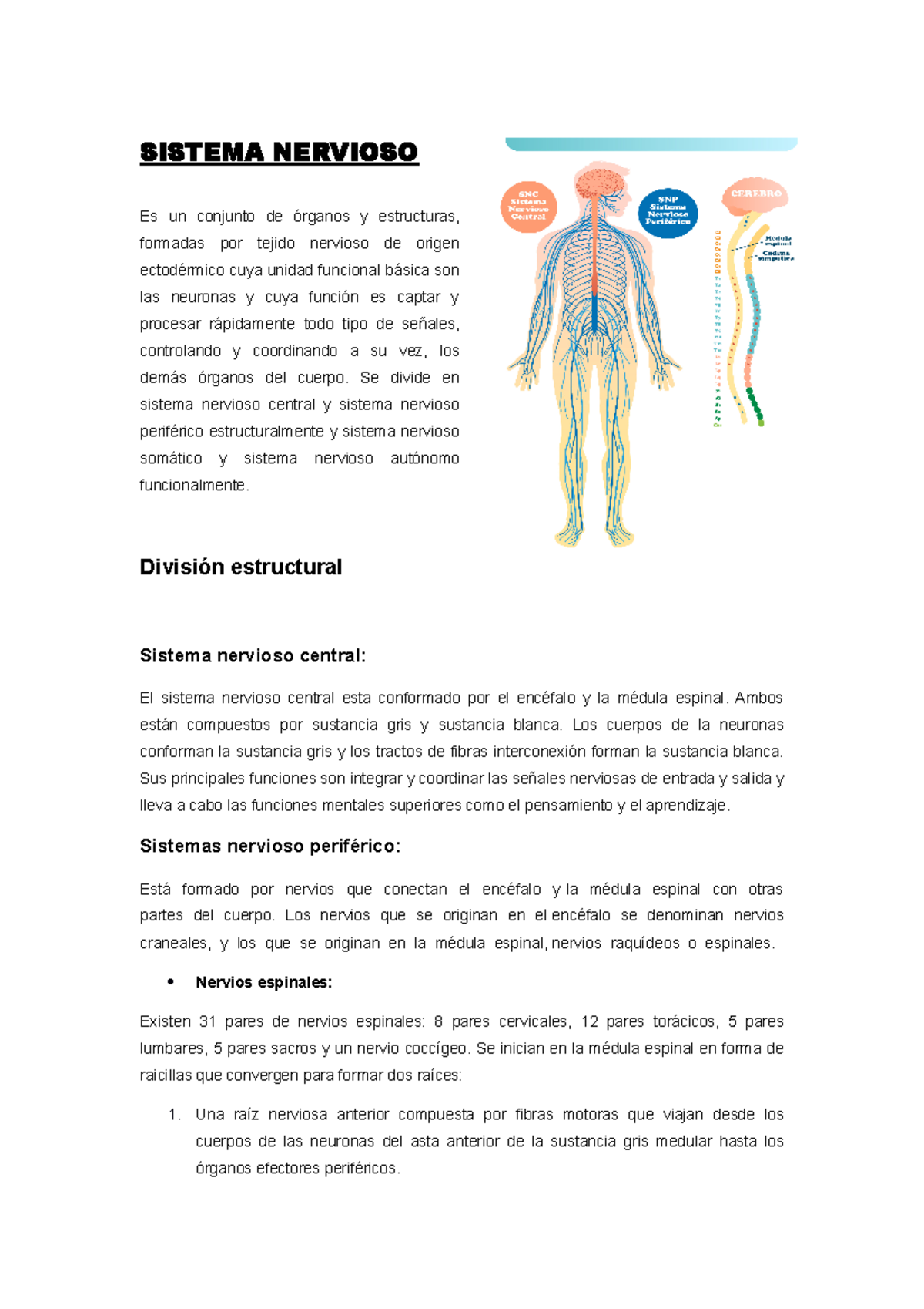Sistema Nervioso - Resumen - SISTEMA NERVIOSO Es un conjunto de órganos y estructuras, formadas ...