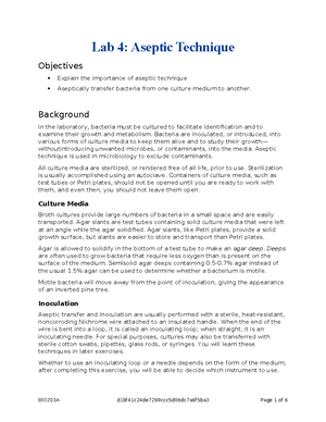 Lab 7 - Report Endospore Staining - Lab 7: Endospore Staining ...