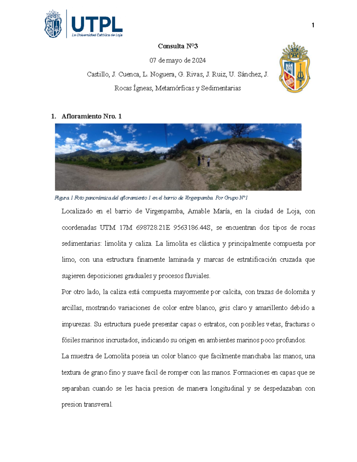 Consulta Nro. 3 - Afloramiento - Consulta N° 3 07 de mayo de 2024 ...