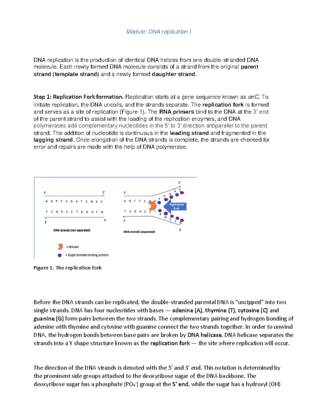 Exam Study Guide - Genetics, viruses - Module: DNA replication I DNA ...