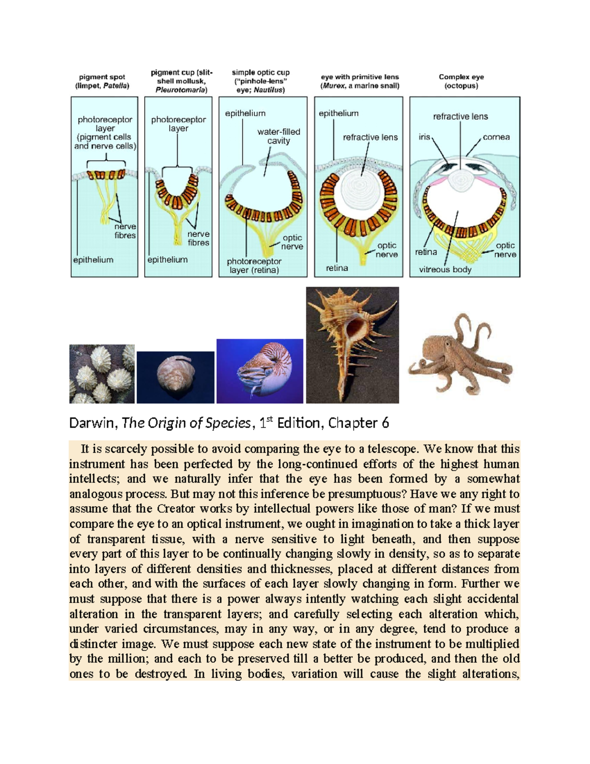 Gradations of the Eye - Evolution notes on the eye's evolution - Darwin ...