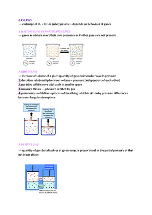 Year 6 Science and Reading The Circulatory System Comprehension 3 ...