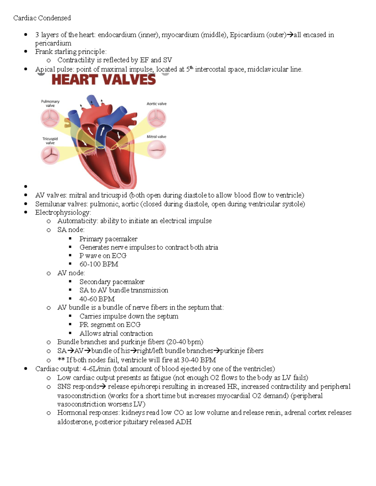 Cardiac Exam 2 condensed notes - Cardiac Condensed 3 layers of the ...
