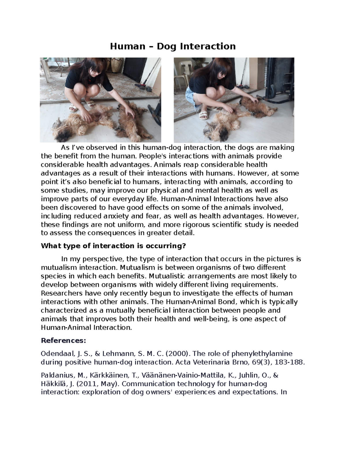 Documenting Ecological Interactions - Human – Dog Interaction As I’ve ...