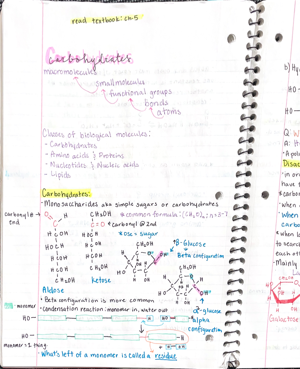 Carbohydrates notes - 213 - Studocu