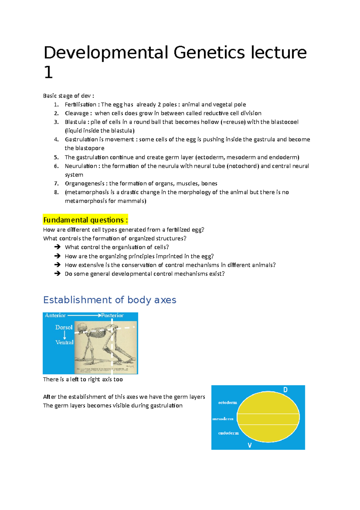Developmental Genetics lecture 1 - Developmental Genetics lecture 1 ...