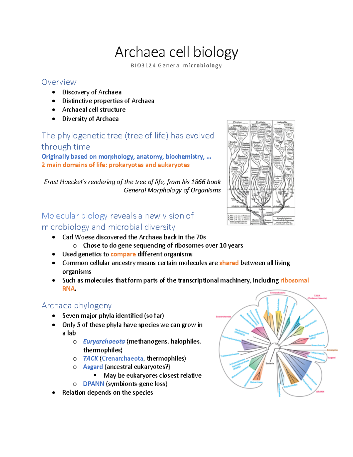 Lecture Archaea - Archaea cell biology BIO3124 General microbiology ...