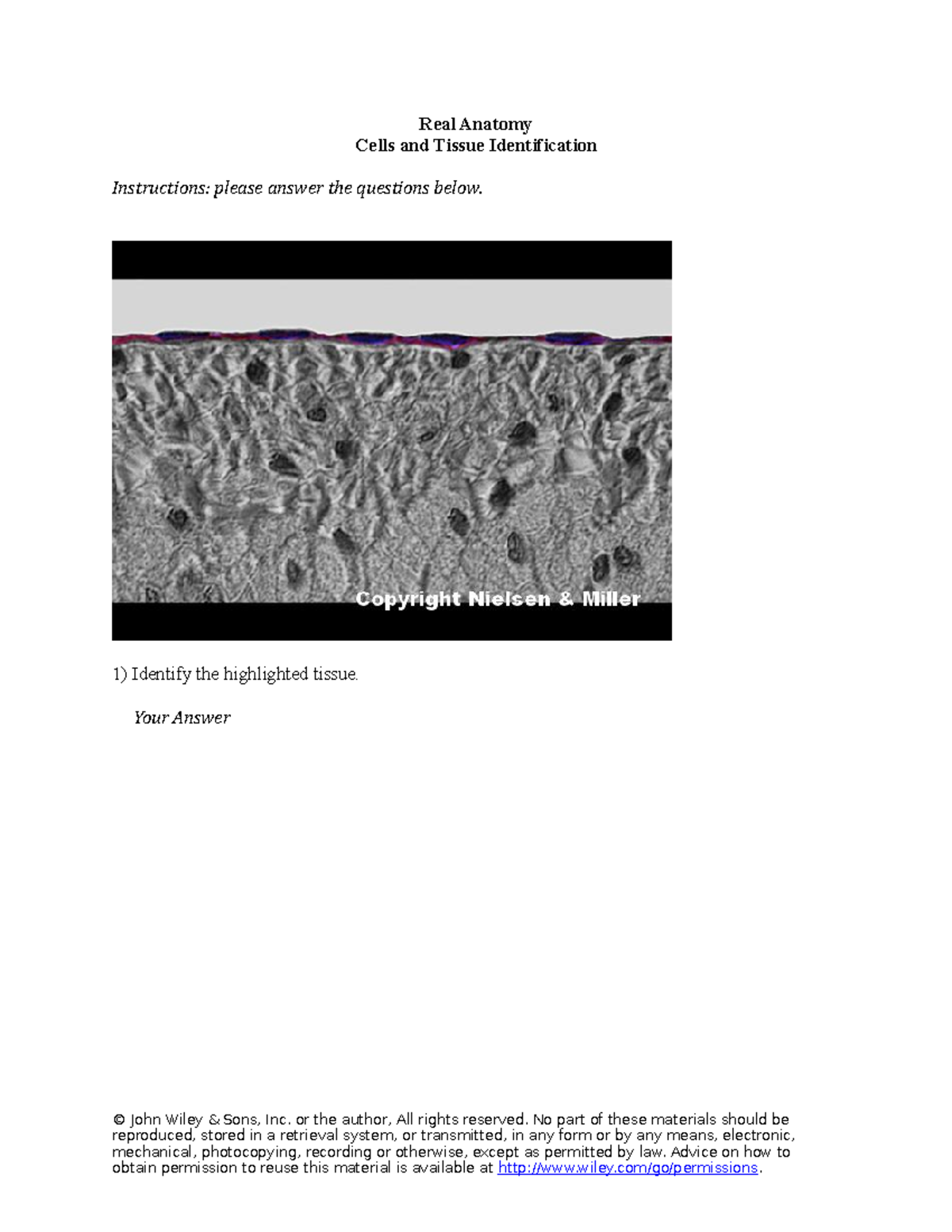 01 cell and tissue identification Worksheet - Real Anatomy Cells and ...