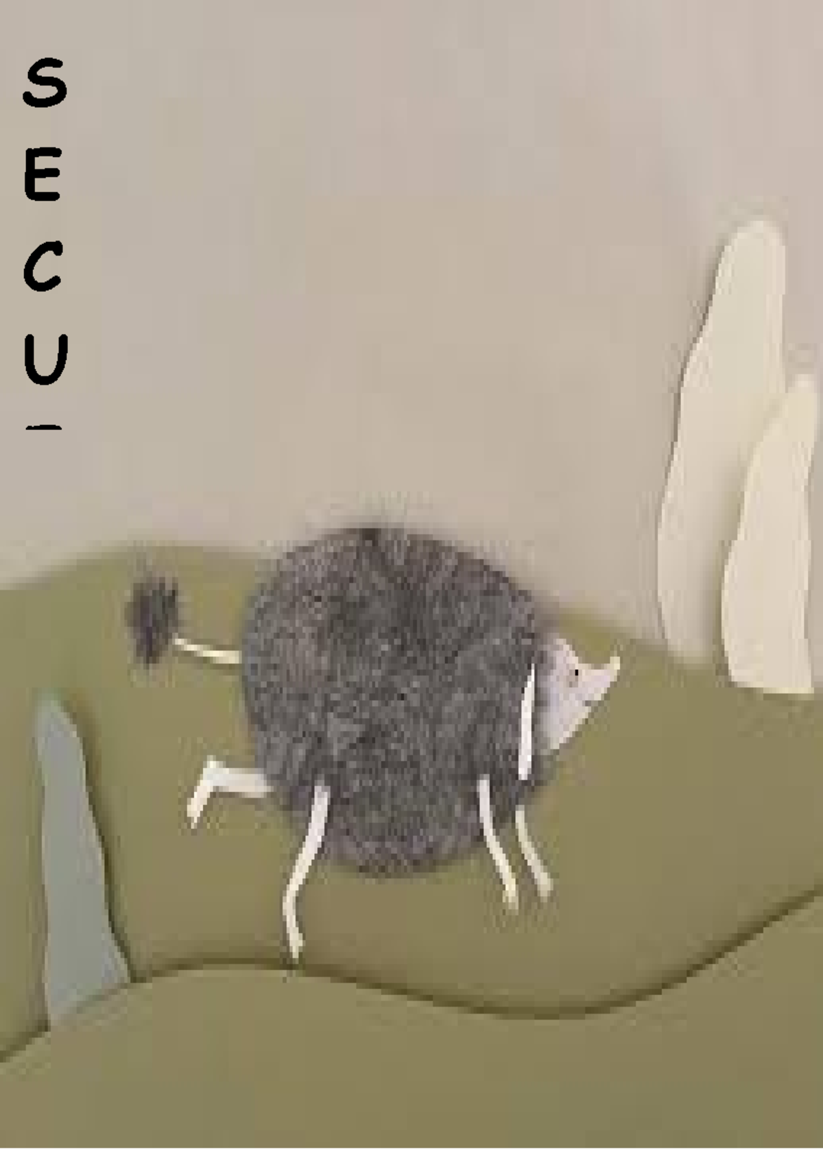 Secuencia bicho raro 3ro - S E C U E SECUENCIA DIDÁCTICA: “BICHO RARO ...