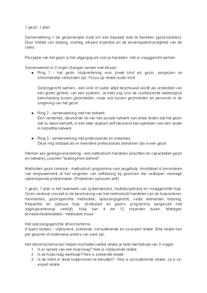 Leeg Format Plan van Aanpak Vier Venster model Civiel - Raad voor de ...