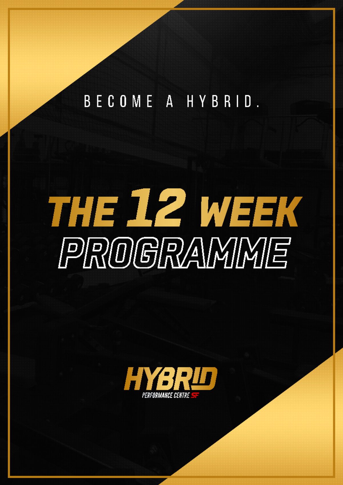 12 Week Programme Full Guide 3 - B E C O M E A H Y B R I D. THE 12 WEEK ...
