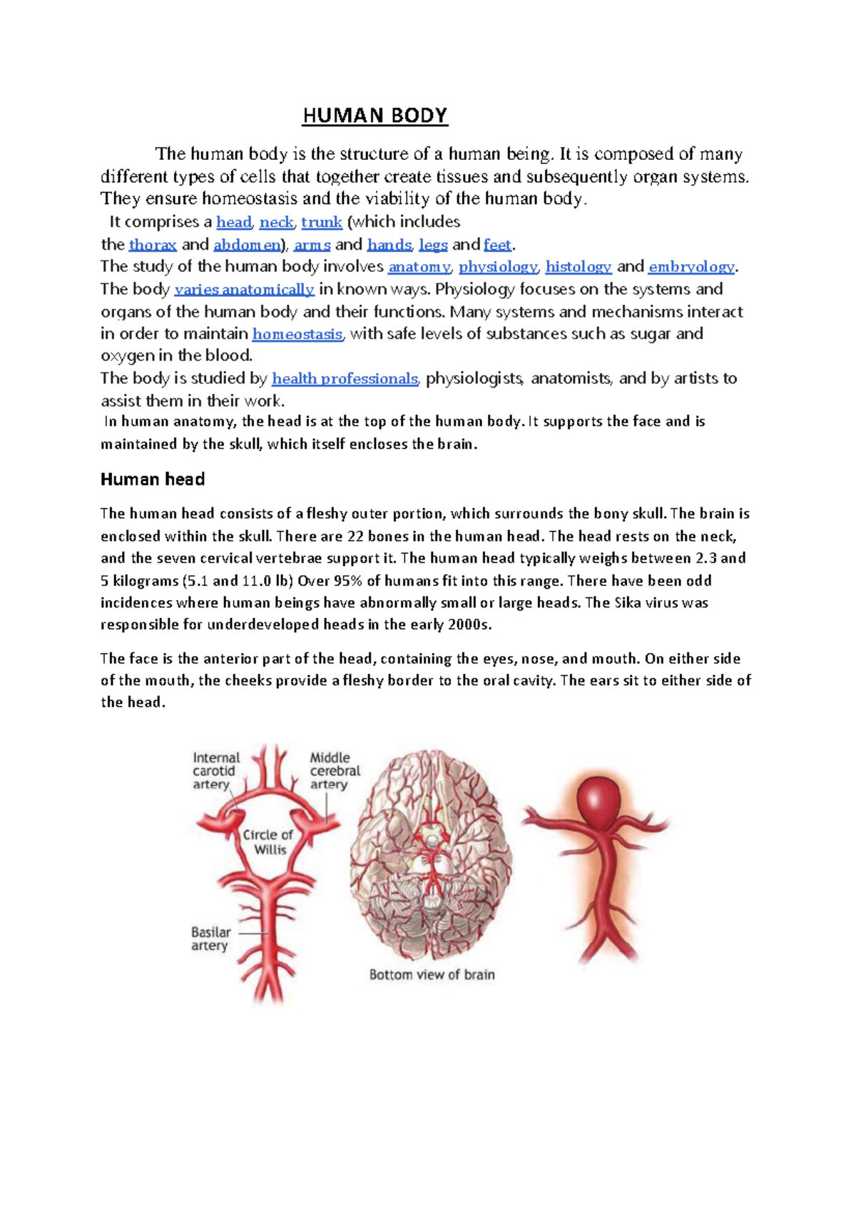 Human body - It is a lecture notes - HUMAN BODY The human body is the ...