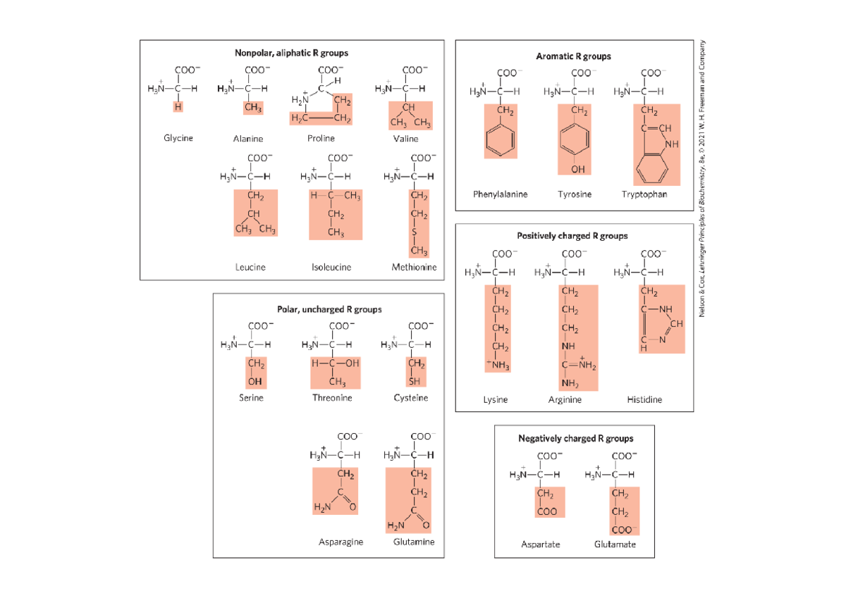 Amino acid structures - Nonpolar, aliphatic R groups Aromatic R groups ...