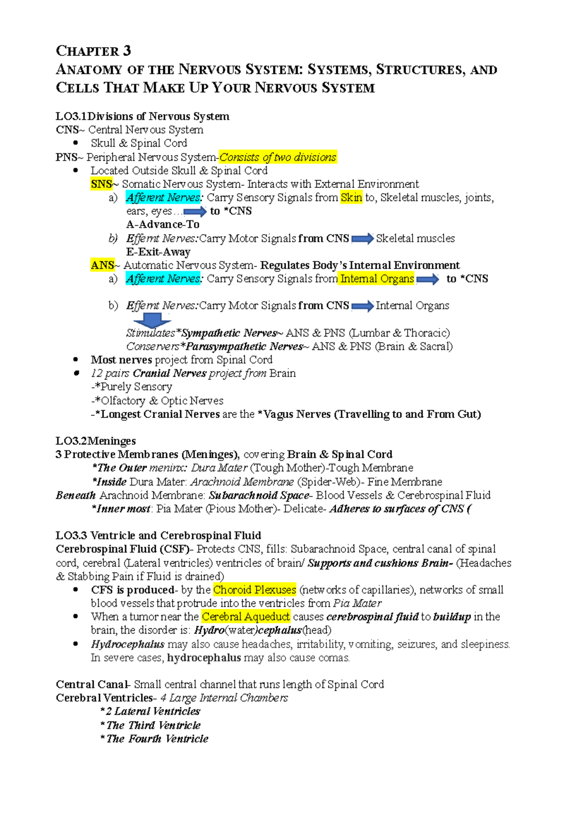 Chapter 3 PSY202 - ANATOMY OF THE NERVOUS SYSTEM: SYSTEMS, STRUCTURES ...
