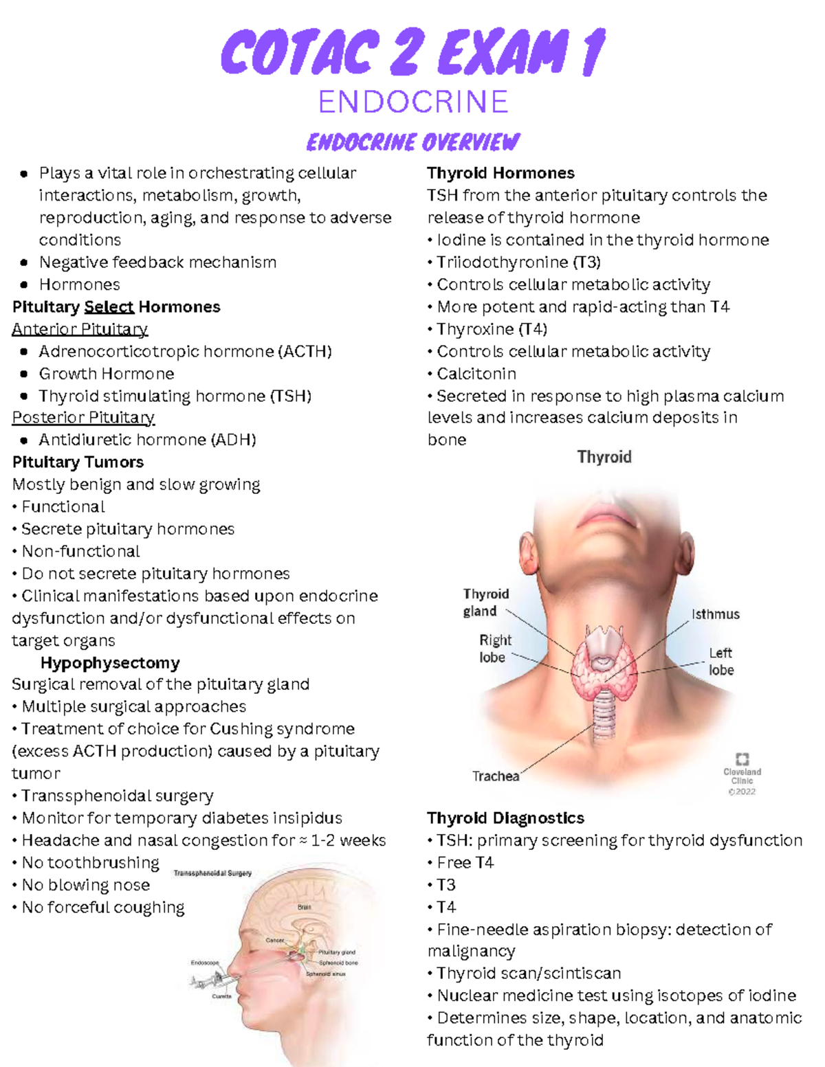 Cotac 2 Exam 1 - COTAC 2 EXAM 1 ENDOCRINE OVERVIEW ENDOCRINE Plays a ...