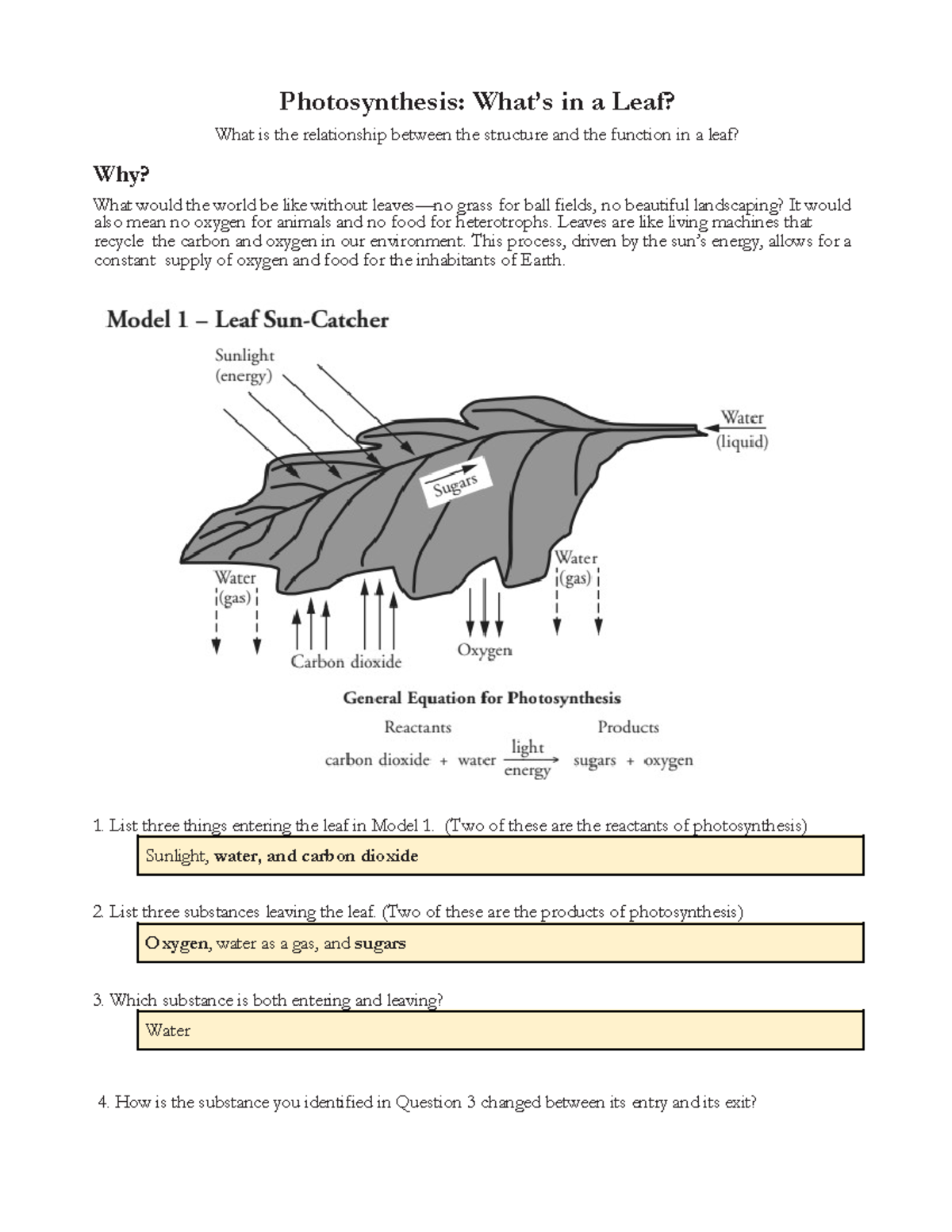 Answers of Photosynthesis - What’s in a Leaf - Photosynthesis: What’s ...