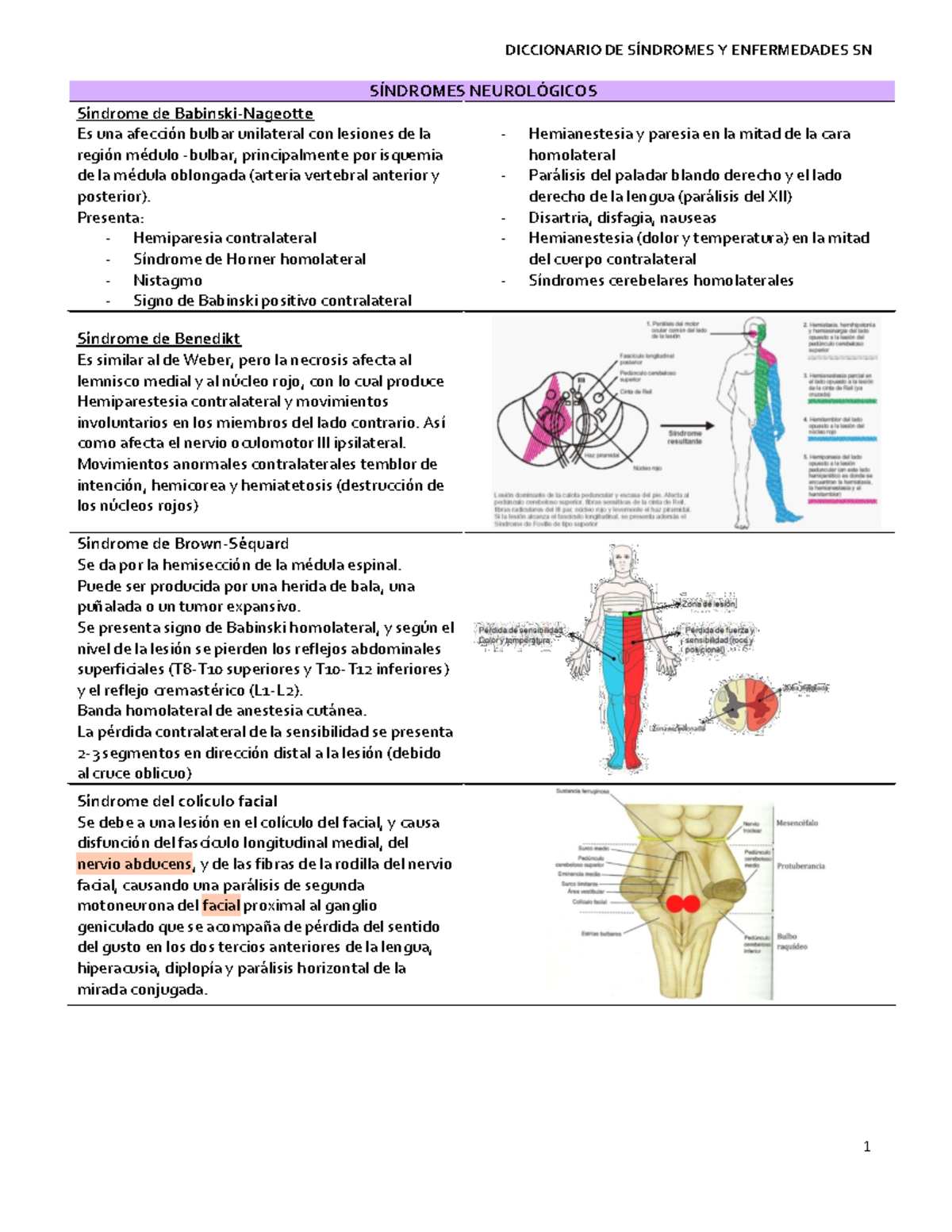 Sindromes Enfermedades SN Y Medula - SÍNDROMES NEUROLÓGICOS Síndrome de ...