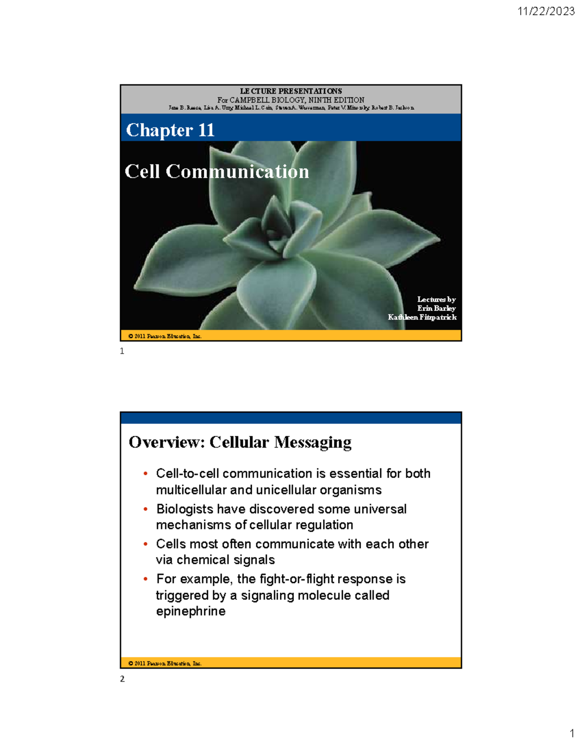 AP Biology Chapter 11 Presentation - LECTURE PRESENTATIONS For CAMPBELL ...