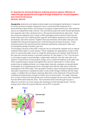BI445 biomolecules - notes - Andrew flaus lectures notes L1 – protein ...