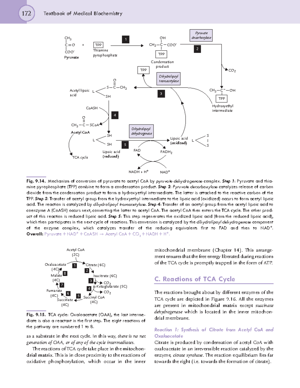 Biochemistry 1-65 - 172 Textbook of Medical Biochemistry mitochondrial ...