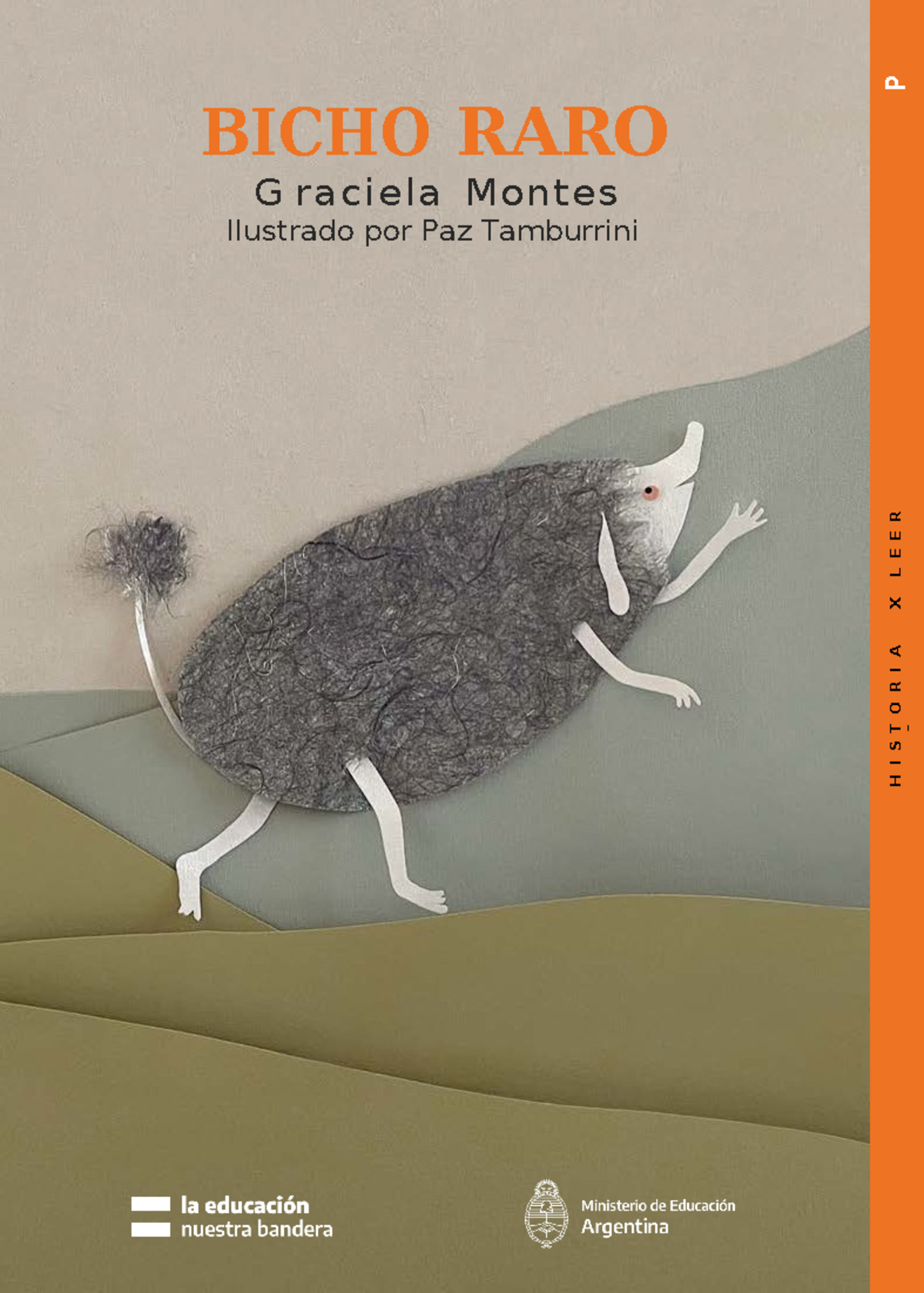 Cuento Bicho RARO de Graciela Montes - BICHO RARO G raciela Montes ...