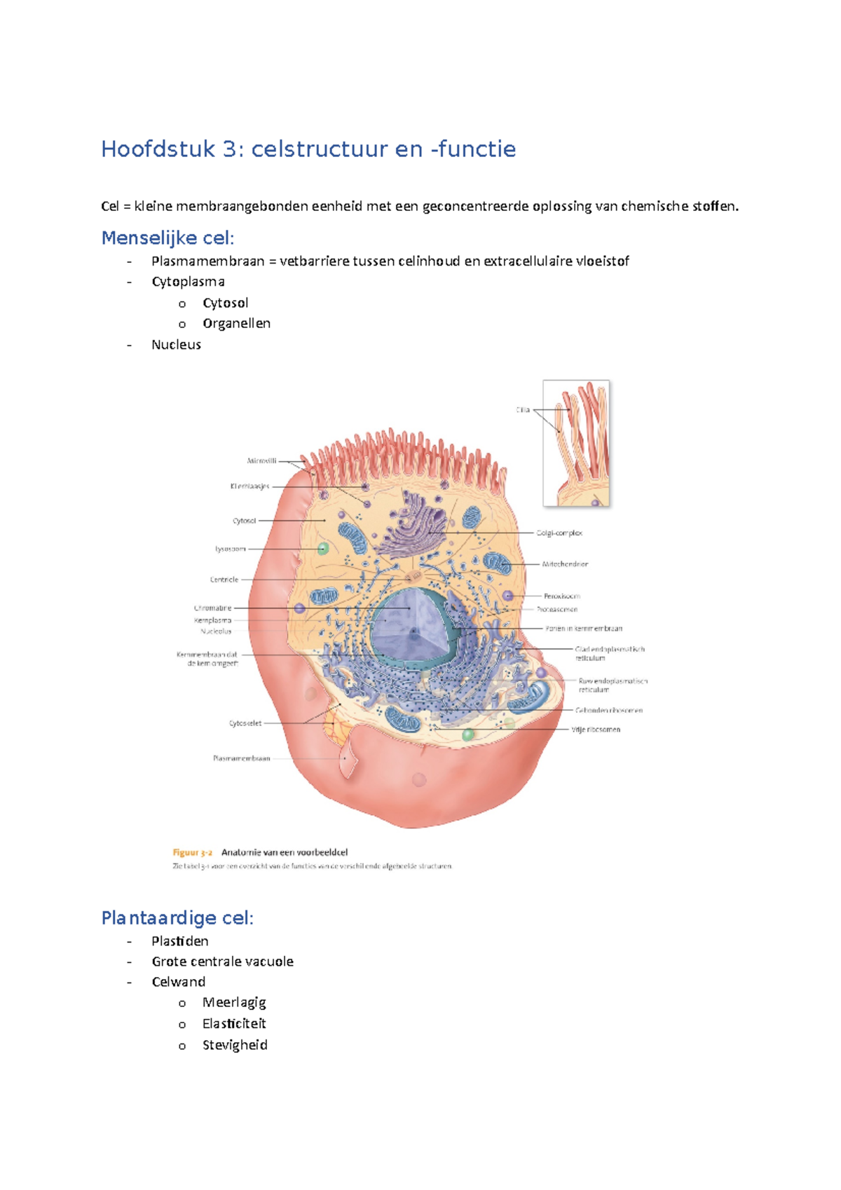 Humane biologie document 1 klaar - Hoofdstuk 3: celstructuur en ...