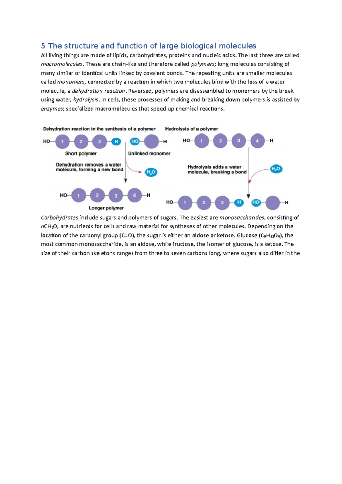 Campbell biology - 5 The structure and function of large biological ...