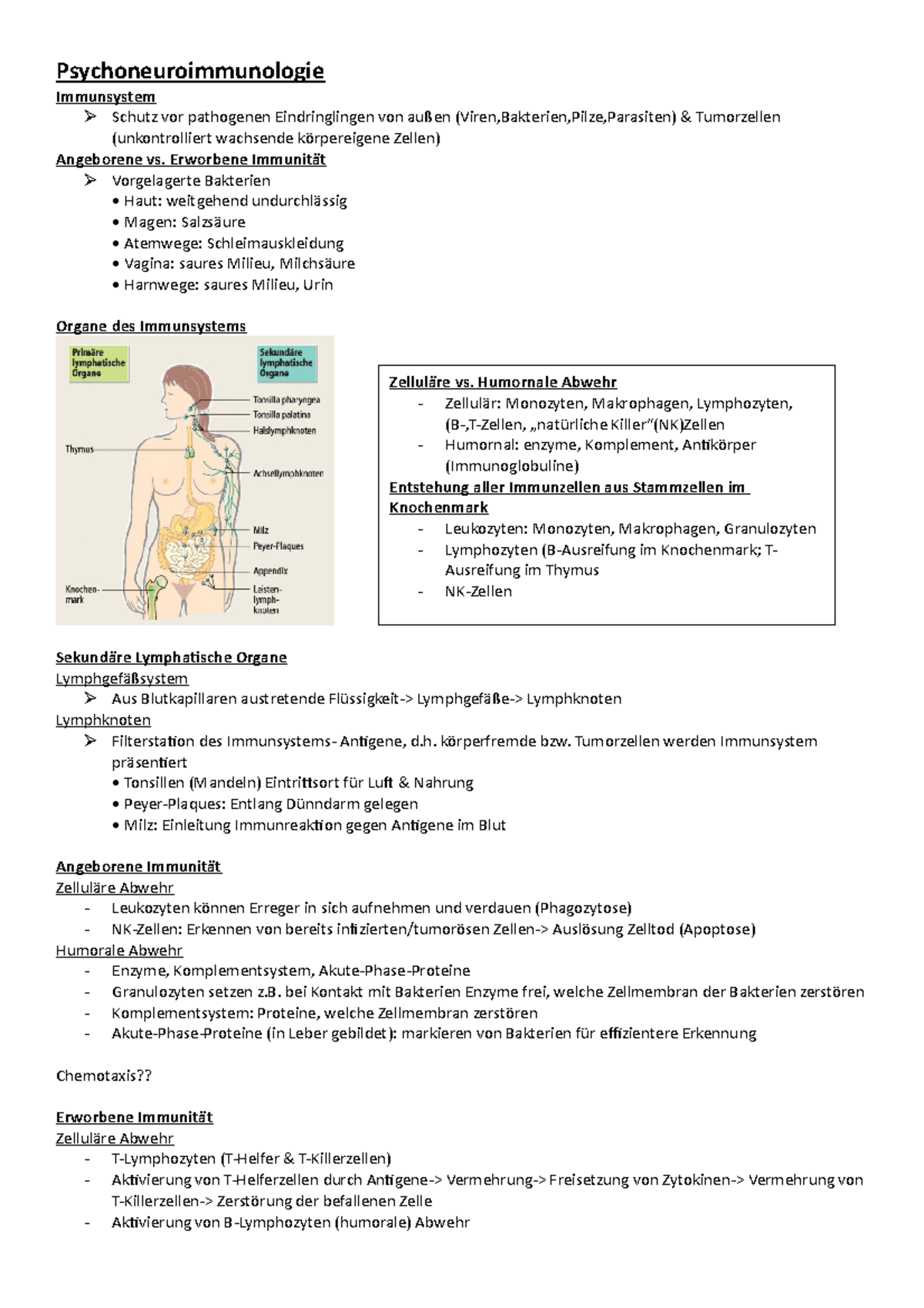 Psychoneuroimmunologie - Psychoneuroimmunologie Immunsystem Schutz vor ...