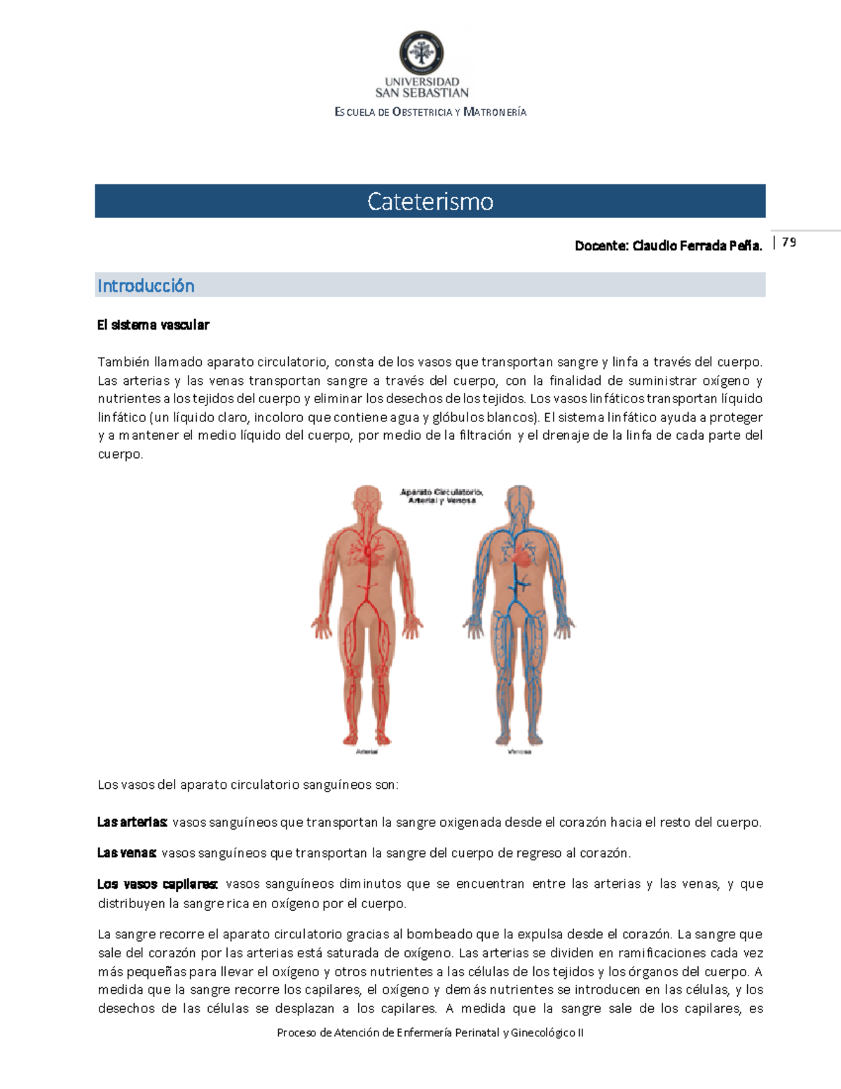 Apunte Cateterismo - | 79 Cateterismo Docente: Claudio Ferrada Peña ...