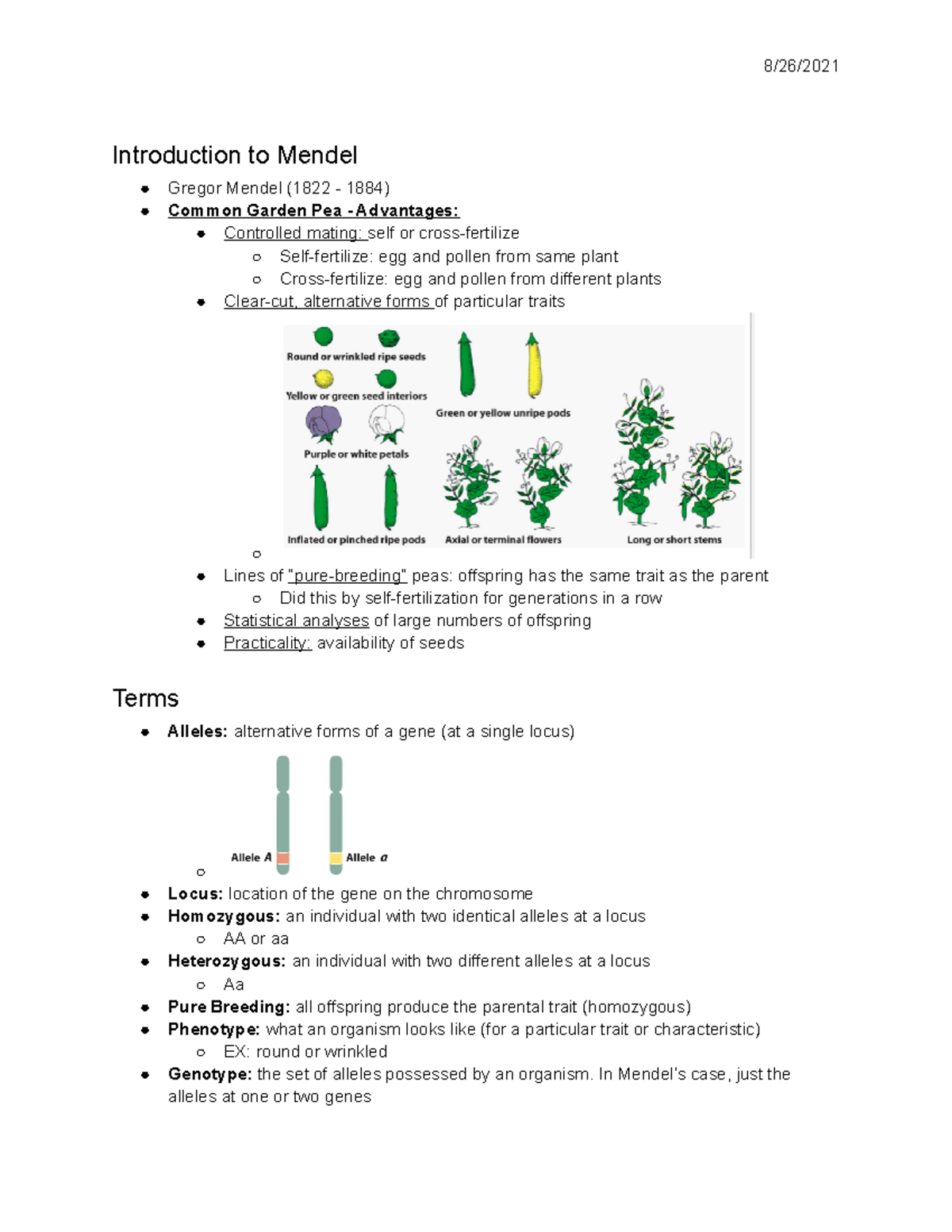 Mendelian Genetics Notes (BIO SC 2200) - Introduction to Mendel Gregor ...