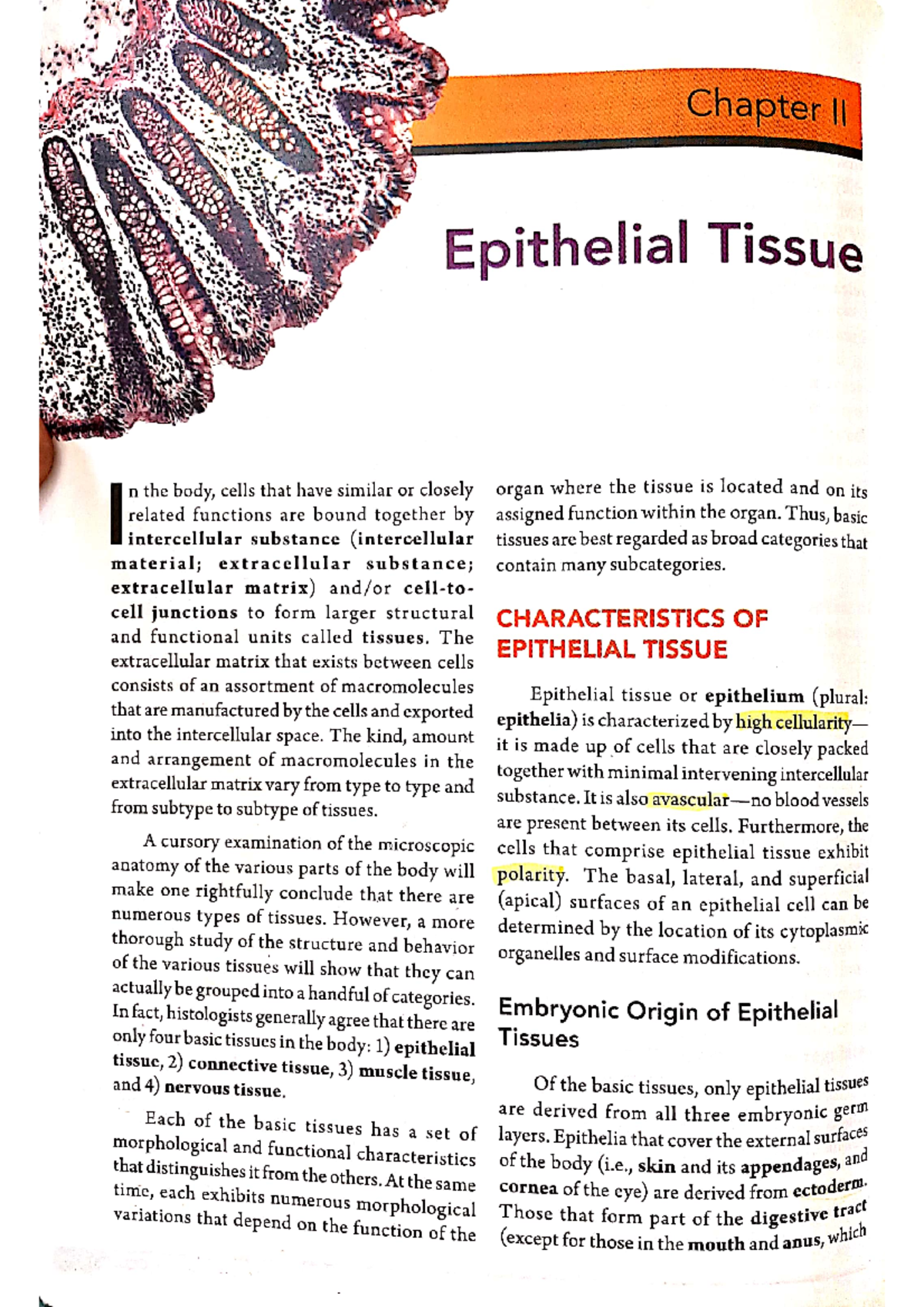 Chapter 2 Epithelial Tissue - Medical Surgical - Studocu