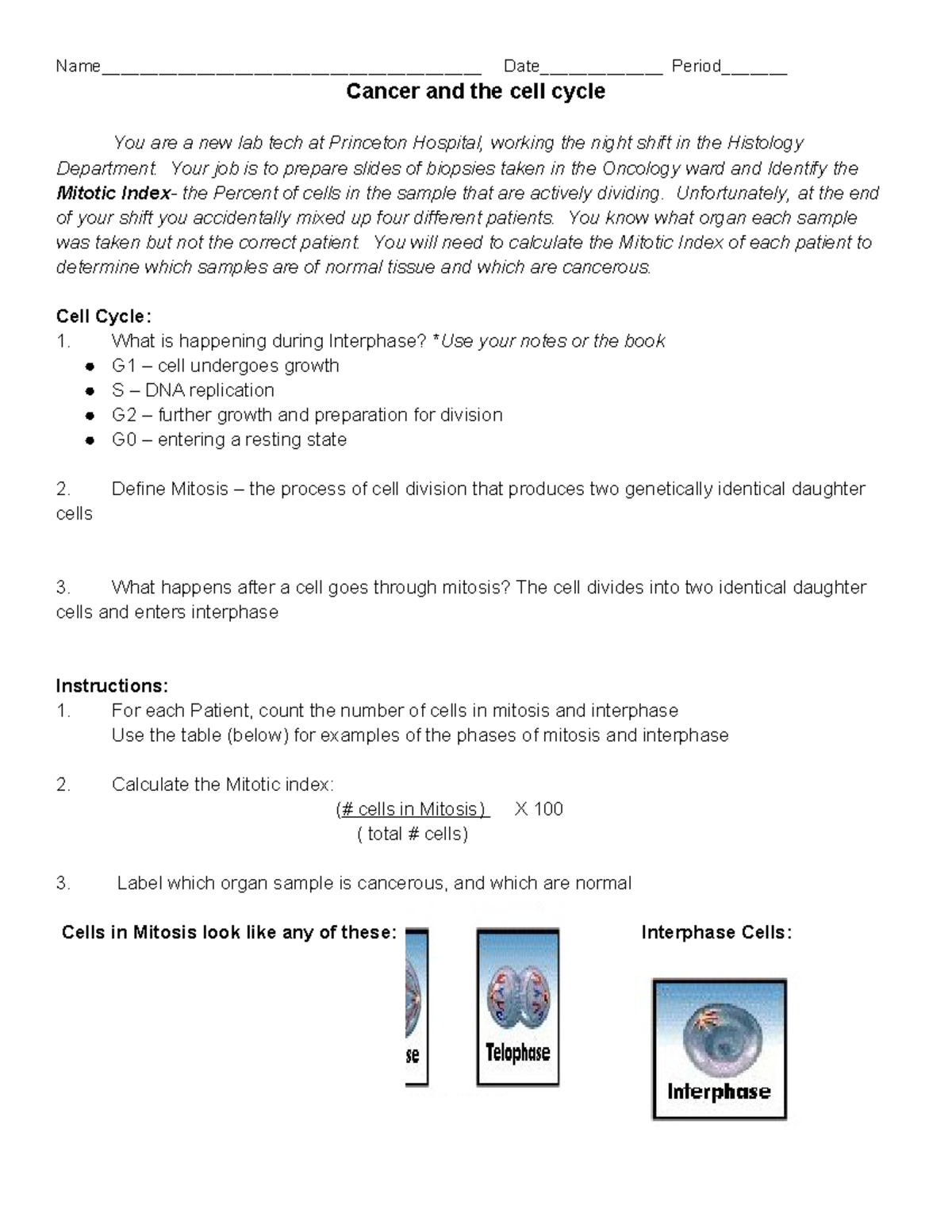 Cell Cycle and Cancer Activity 24 - Name ...