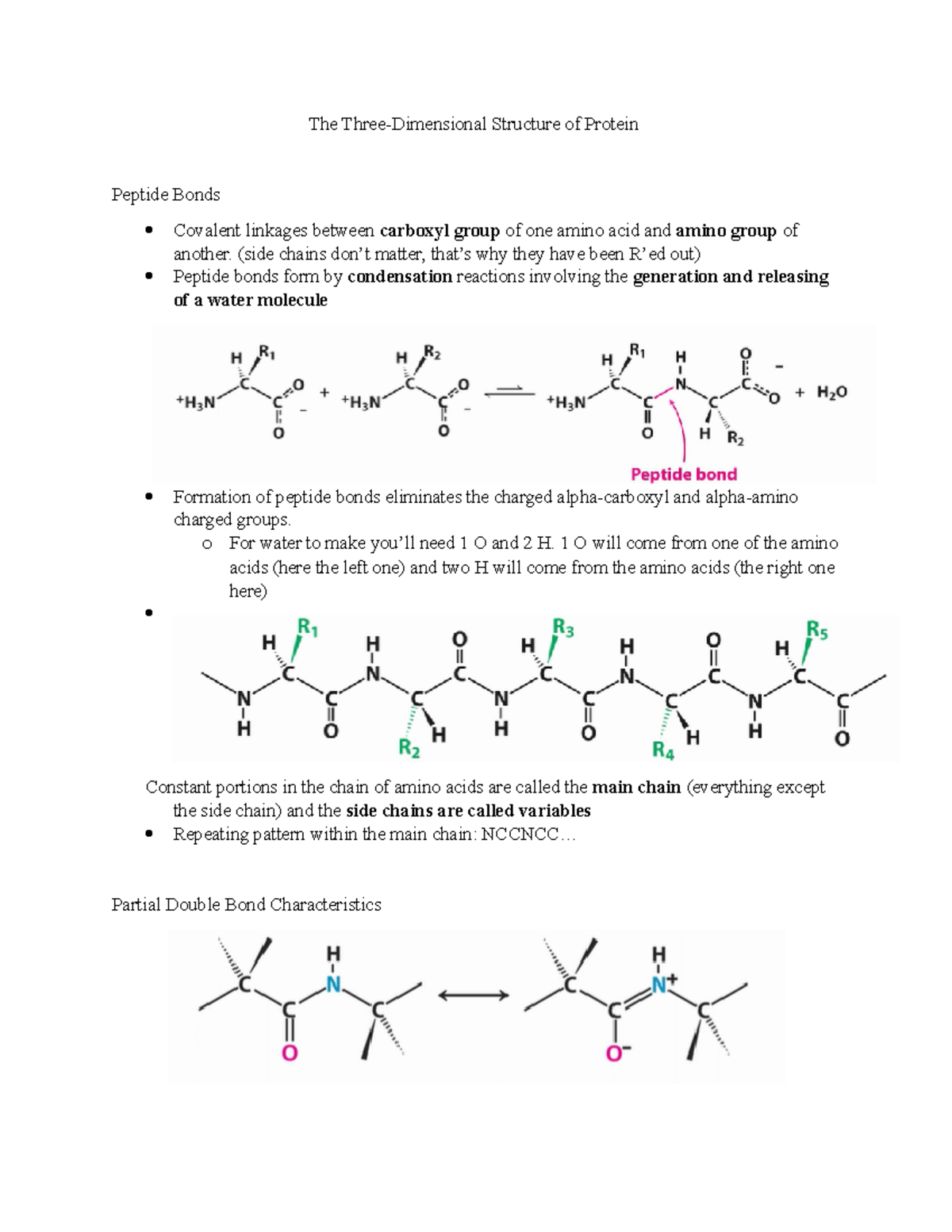 Chapter 4 - Scott Napper Notes - The Three-Dimensional Structure of ...