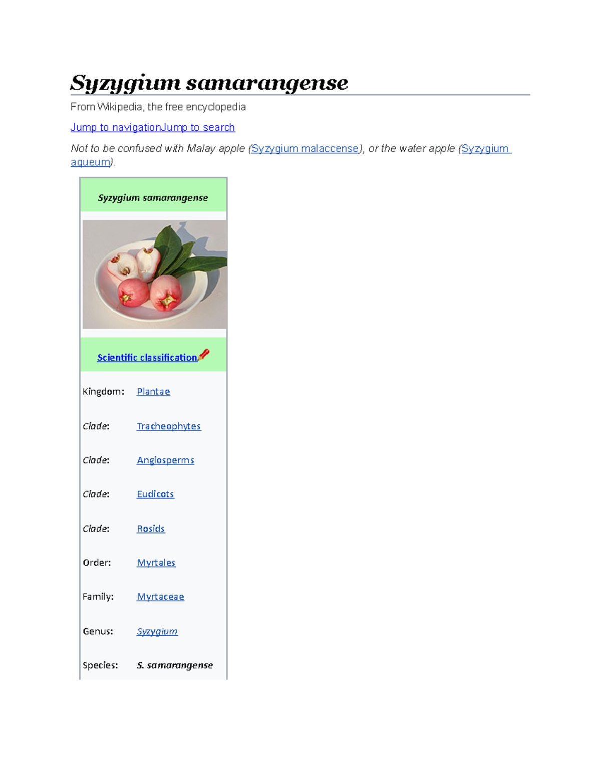 Macopa - You can use this as reference. - Syzygium samarangense From ...