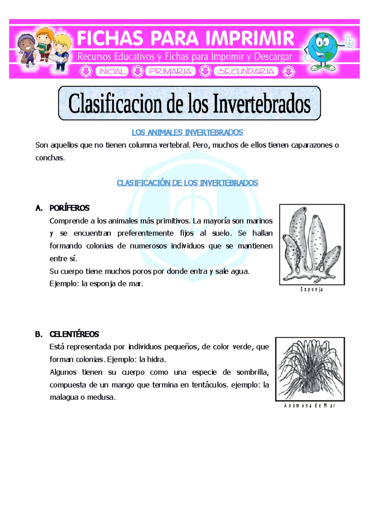 Ficha Clasificacion de los Invertebrados para Quinto de Primaria - LOS ...