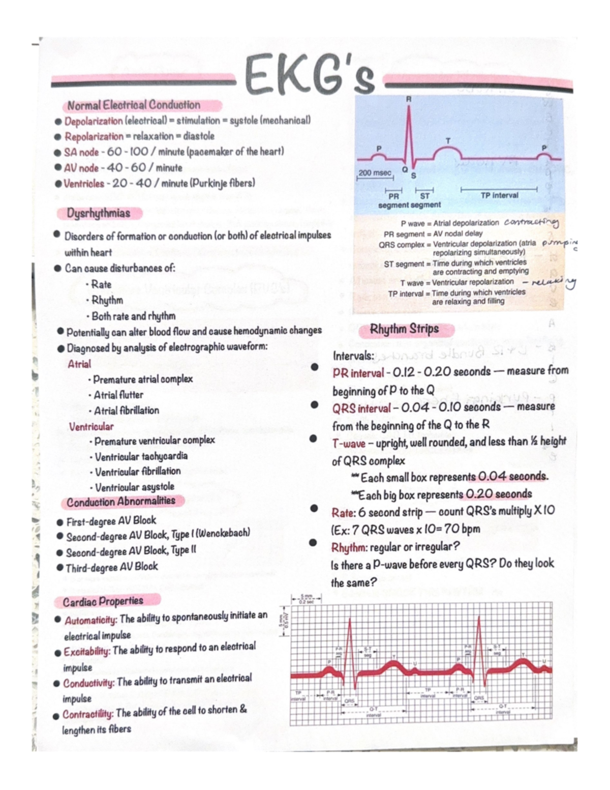 EKG's - ekg notes - NURS435 - Studocu