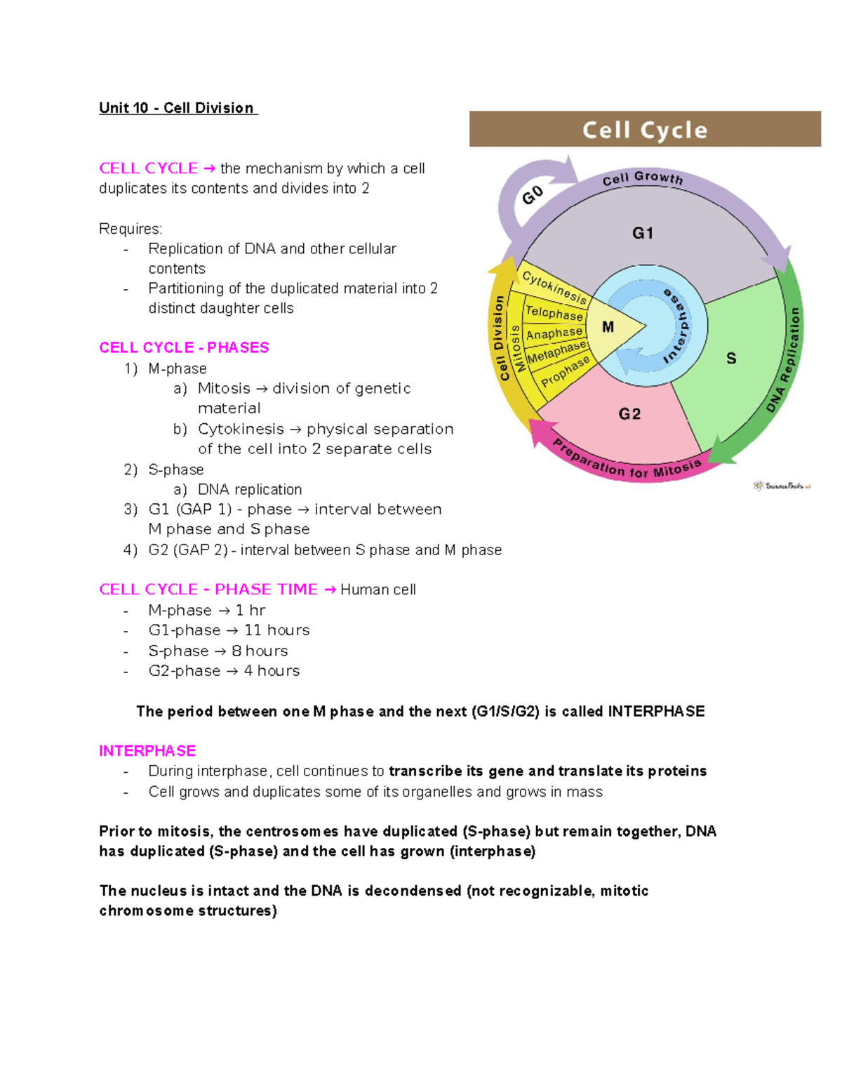 Cell division - Unit 10 - Cell Division CELL CYCLE → the mechanism by ...