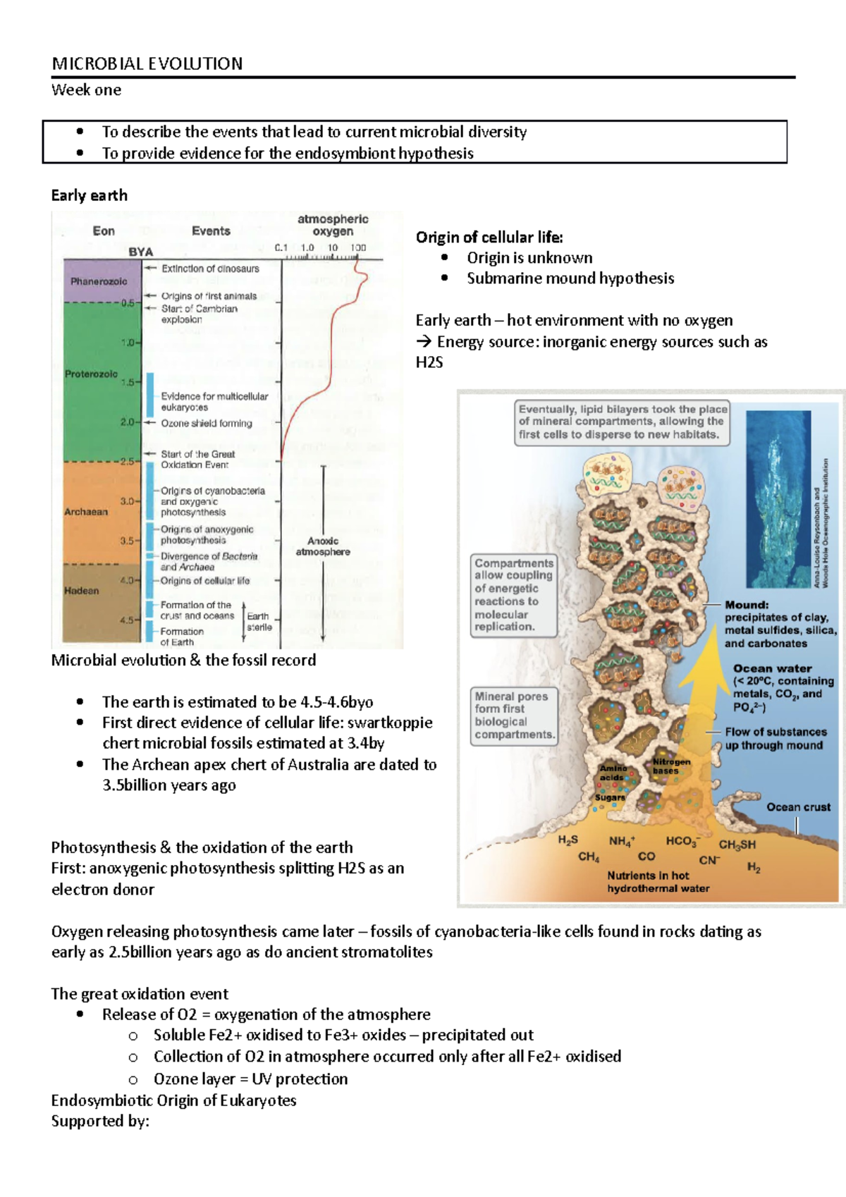 Microbial evolution - MICROBIAL EVOLUTION Week one To describe the ...