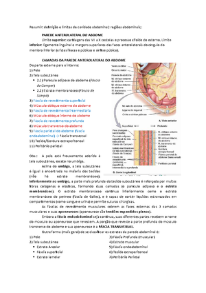 Peritônio e Cavidade Peritoneal - CAVIDADE PERITONEAL O uma membrana ...