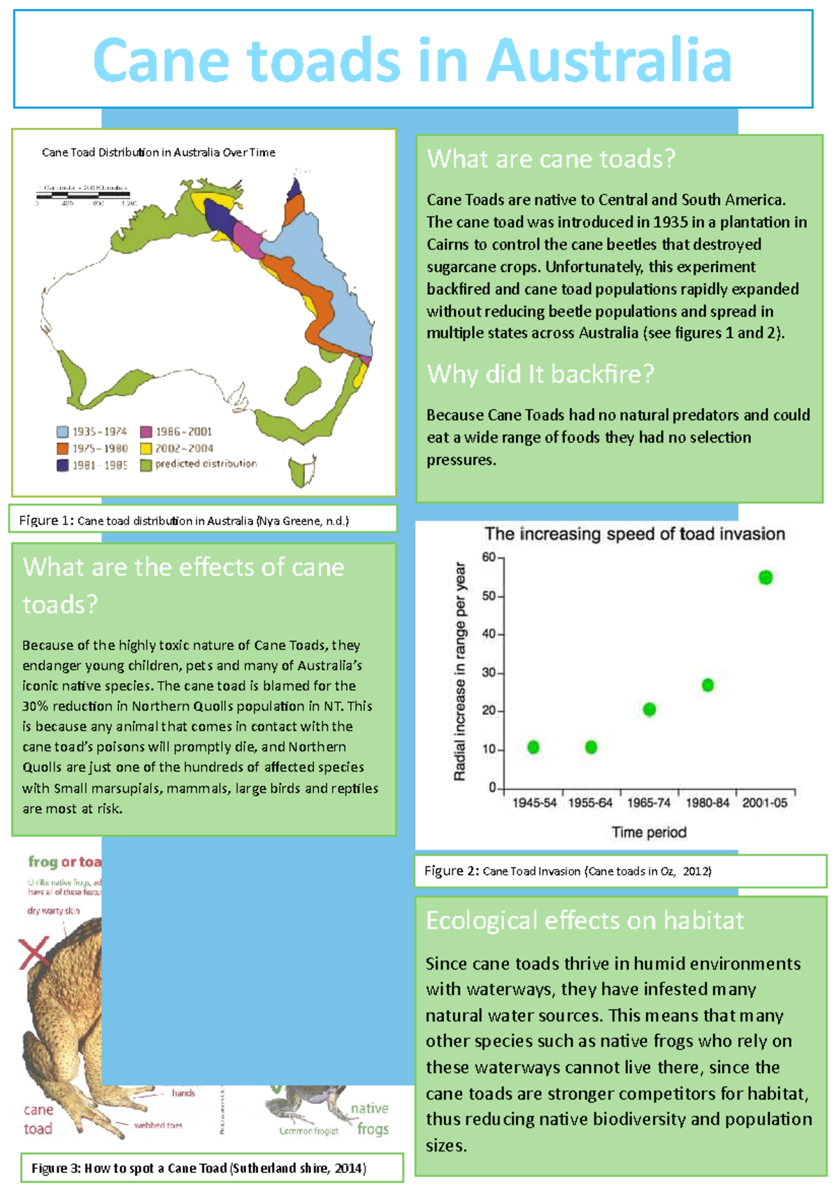 Cane toad infographic - cane toad infromgraphic vce unit 4 enviro ...