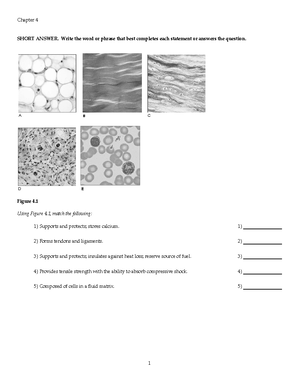 Lab #3 Cell Transport A&P 1 - Lab 3: Bone, Muscle, & Joint Dissection ...