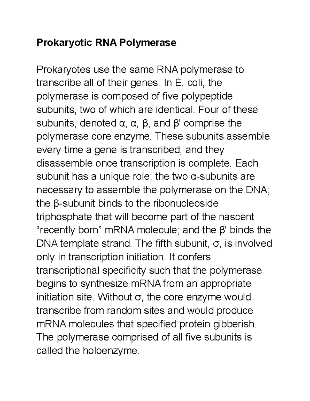 BIOL 1345 Module 13 Prokaryotic Transcription - Prokaryotic RNA ...