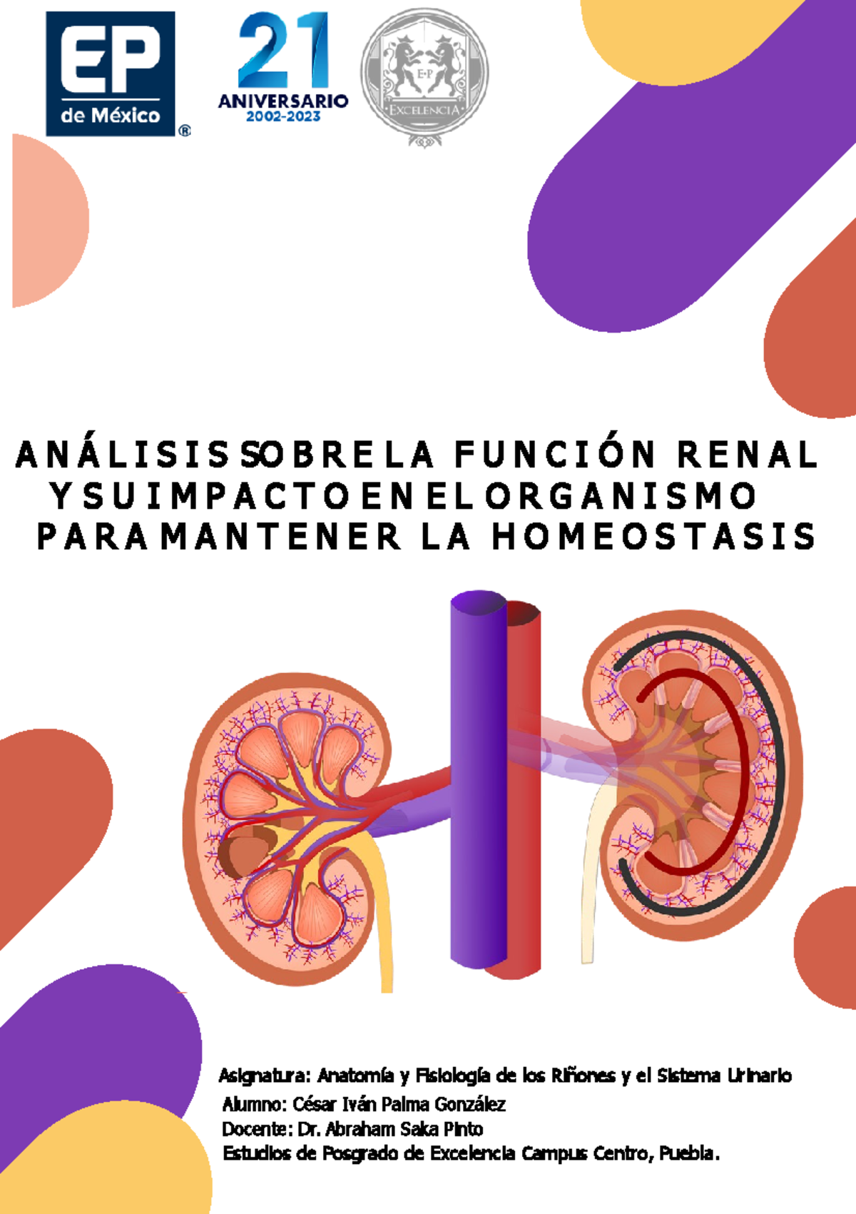 Función renal y homeostasis - A N Á L I S I S SO B R E L A F U N C I Ó ...