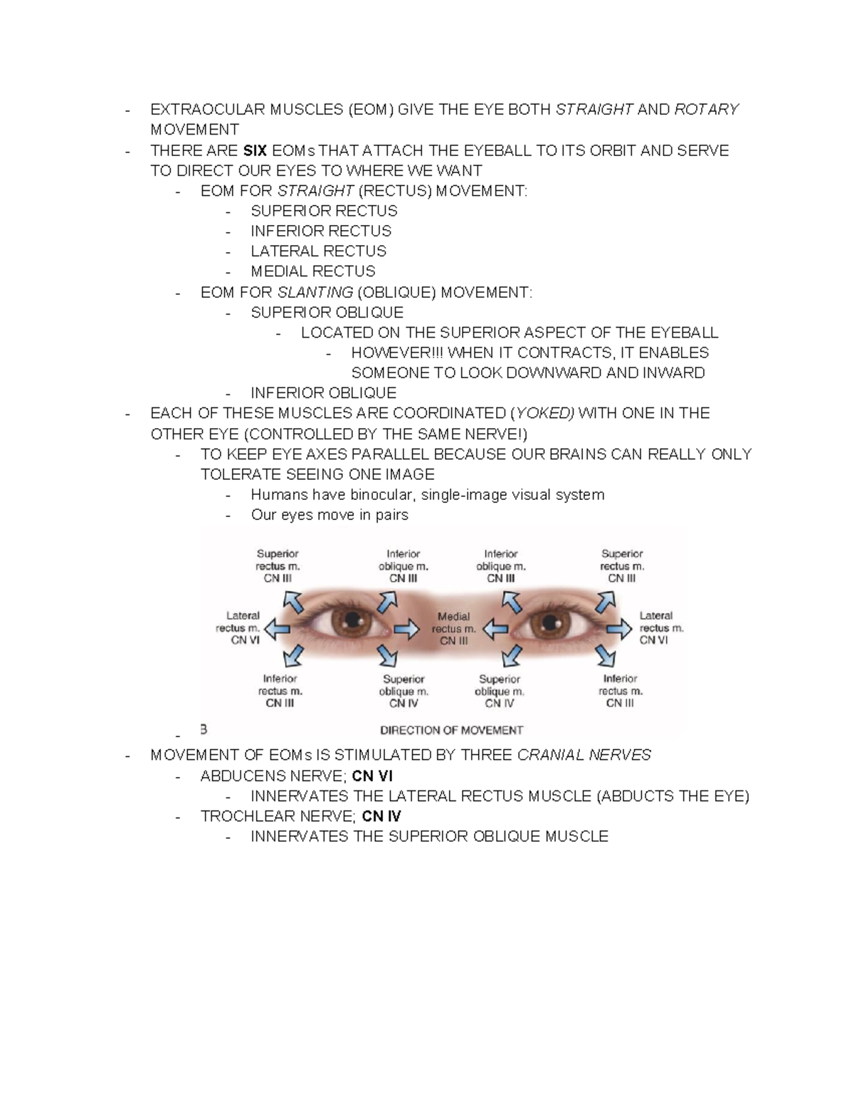 Health Assessment- CH15 Eyes - EXTRAOCULAR MUSCLES (EOM) GIVE THE EYE ...