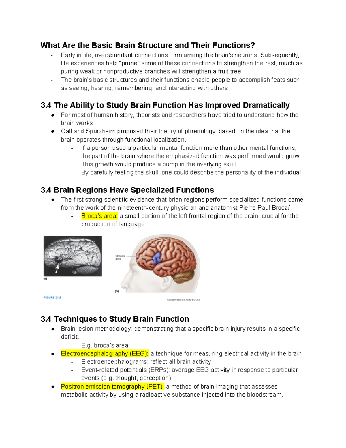 Chapter 3 - Psychology - What Are the Basic Brain Structure and Their ...