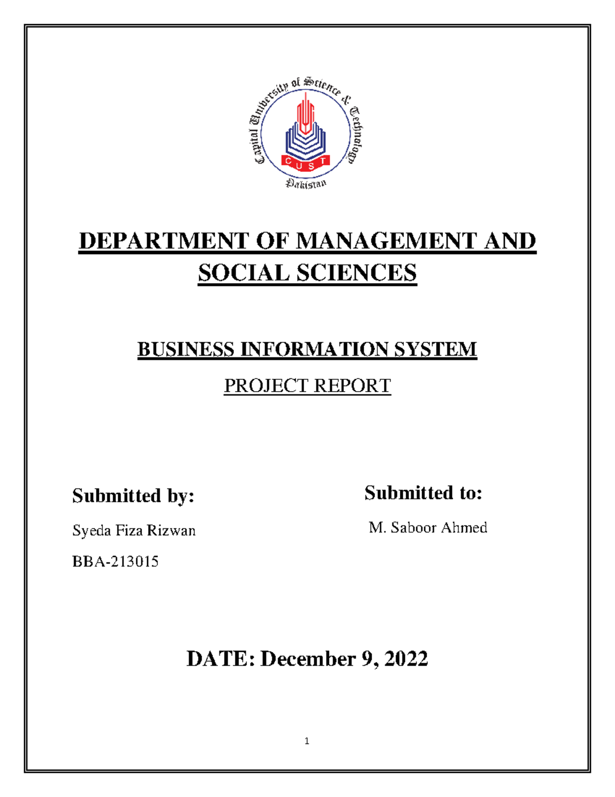 BIS Report BBA213015 - DEPARTMENT OF MANAGEMENT AND SOCIAL SCIENCES ...