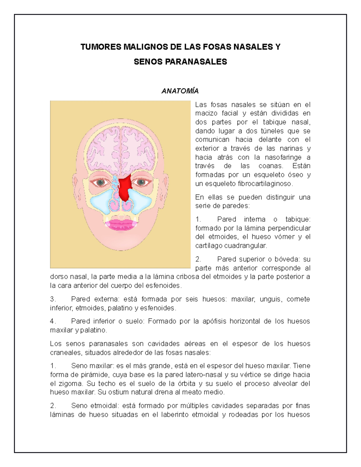 Tumores Malignos De Las Fosas Nasales Y Senos Paranasales - TUMORES MALIGNOS DE LAS FOSAS ...