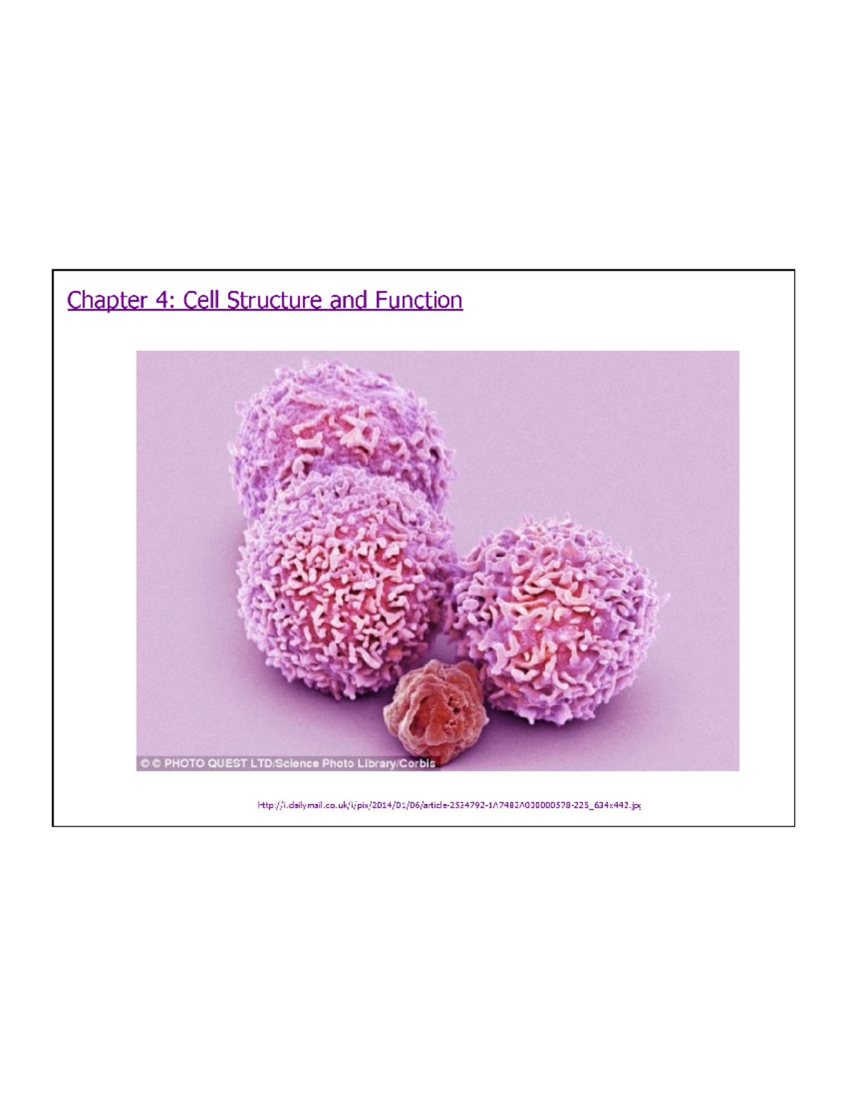 Chapter 4 - Cell Structure and Function 2 - Environmental Science - Studocu