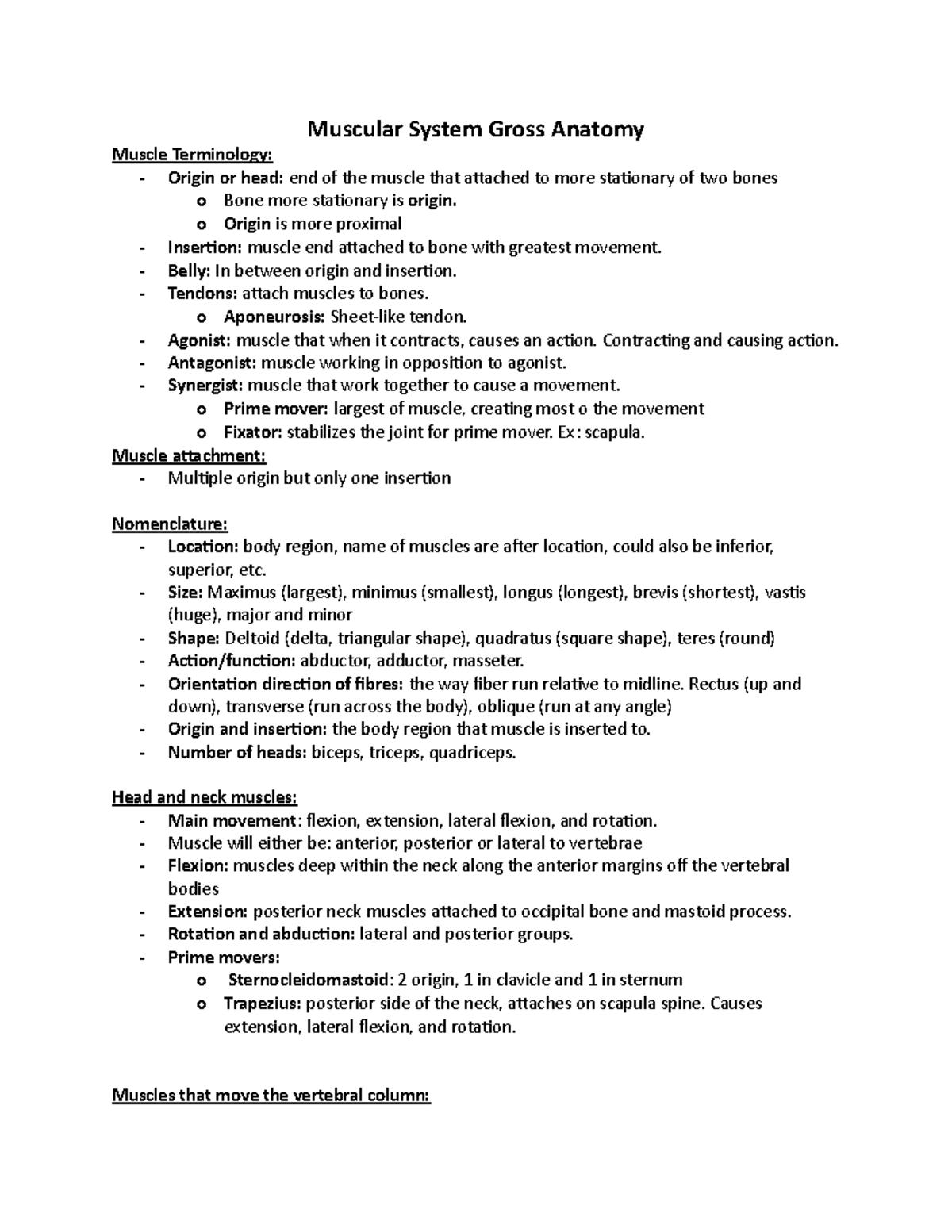 18. Muscular System Gross Anatomy - Muscular System Gross Anatomy ...