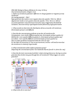 Vision Audition - Vision: 1 in detail the anatomy of the visual system ...
